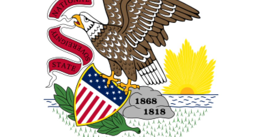 Illinois Single Member LLC Filing Guide – Service Alliance INC