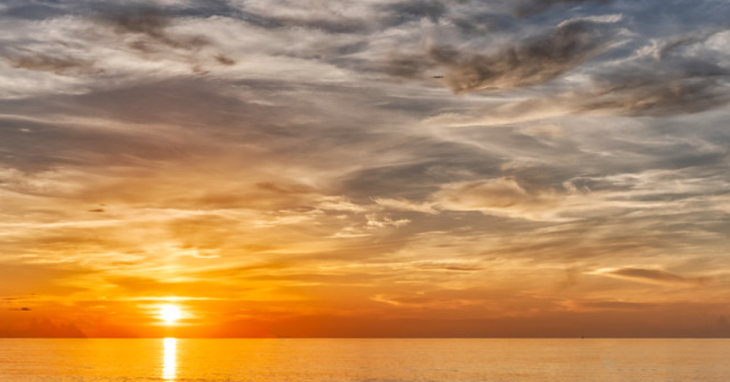 Florida Certificate of Authority for Sunbiz – Service Alliance INC