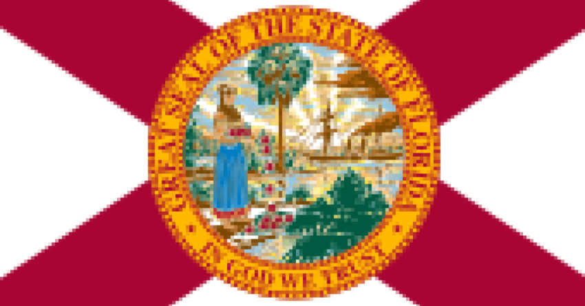 Florida Profit Corp Incorporation Guide & Filing Instructions – Service ...